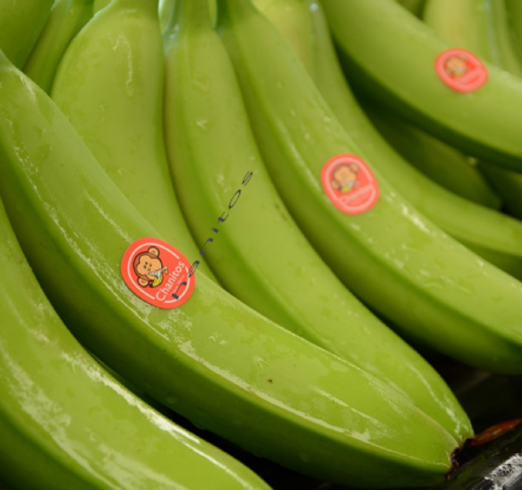 Frutas Chanitos - Cultivamos energìa natural para alcanzar tus sueños.